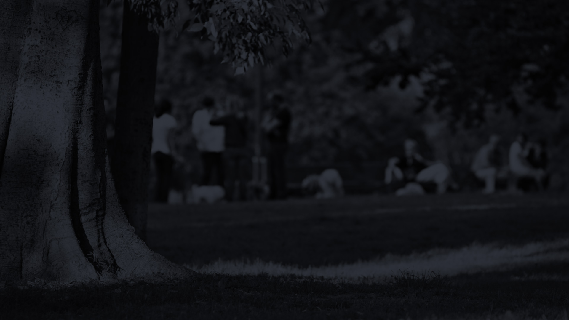 About McClone: Trusted Insurance & Risk Management Experts